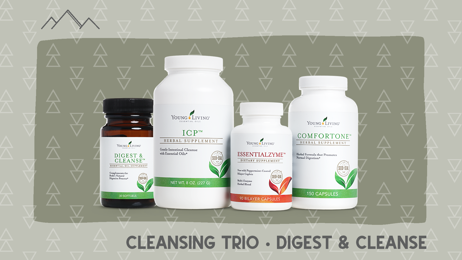Digestive Support - Vital 180 Community