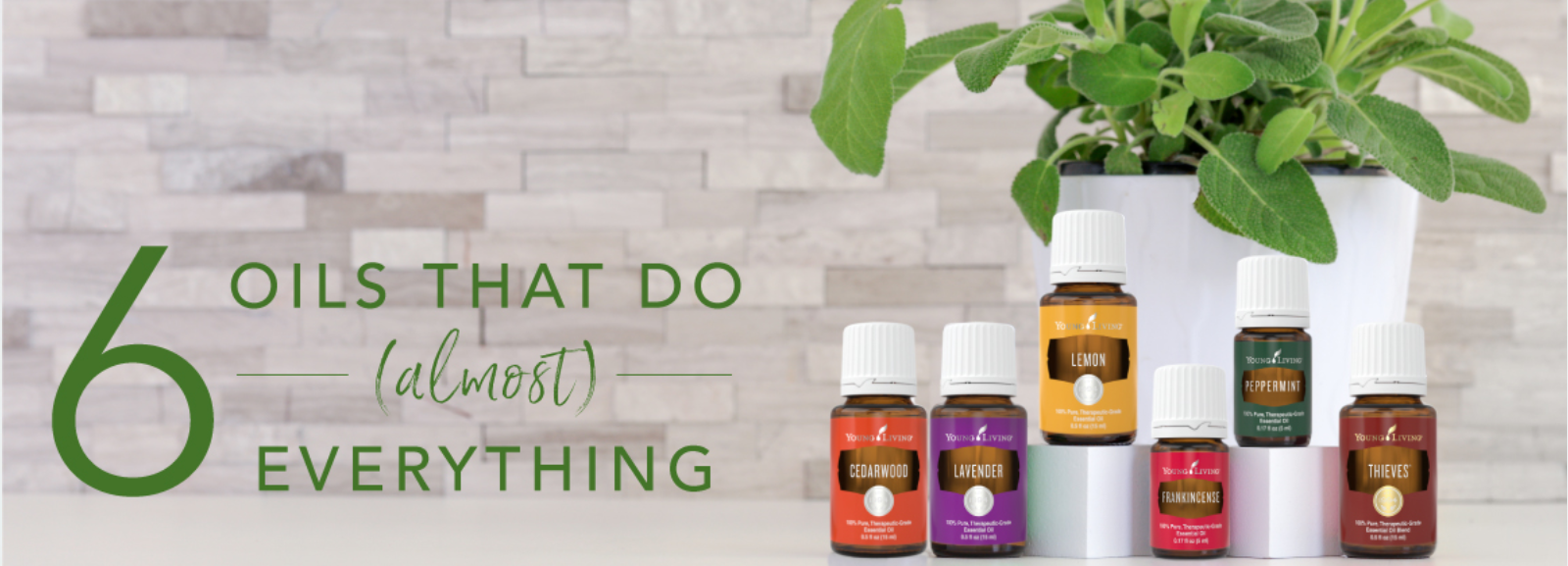 6 Oils That Do (almost) Everything - Vital 180 Community
