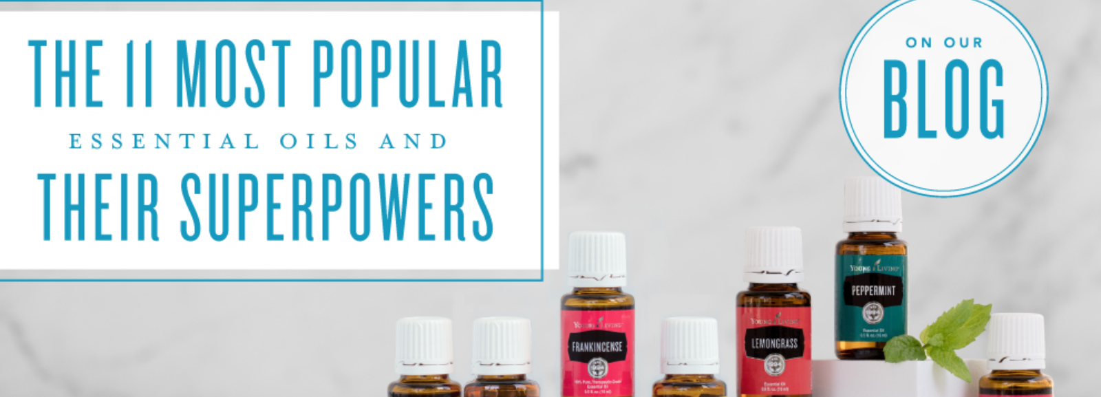 The 11 Most Popular Essential Oils and Their Superpowers - Vital 180 ...