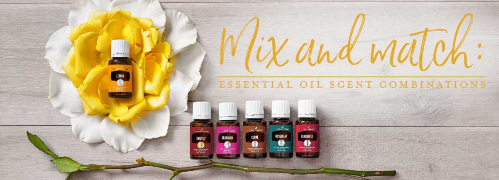 Mix And Match: Essential Oil Scent Combinations - Vital 180 Community