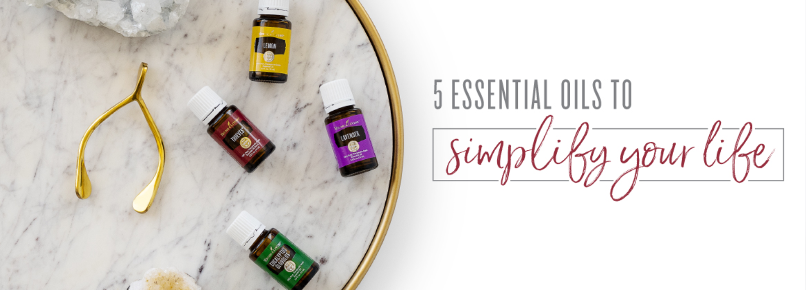 5 Essential Oils To Simplify Your Life Vital 180 Community
