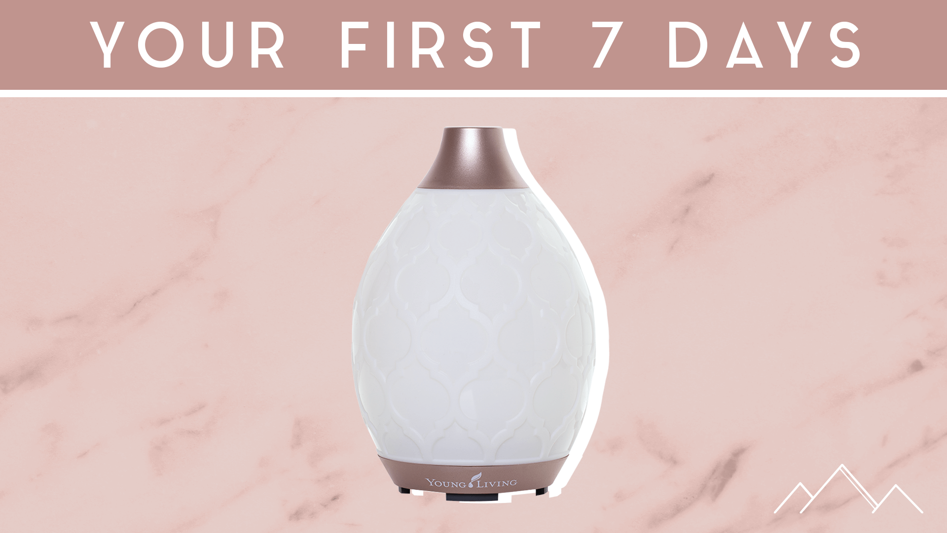 Desert Mist Diffuser - Vital 180 Community