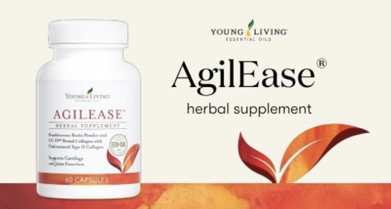 AgilEase Educational PowerPoint - Vital 180 Community